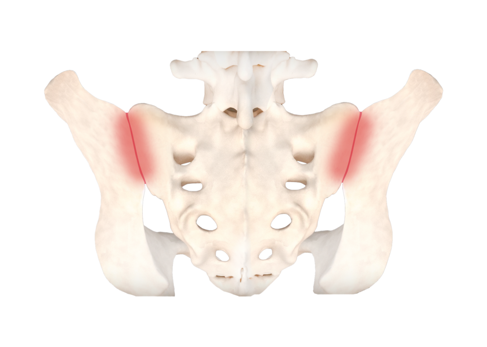 Liberty SI - Spinal Simplicity